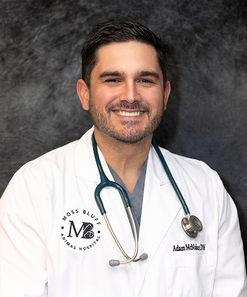 Team | Bayou South Animal Hospital